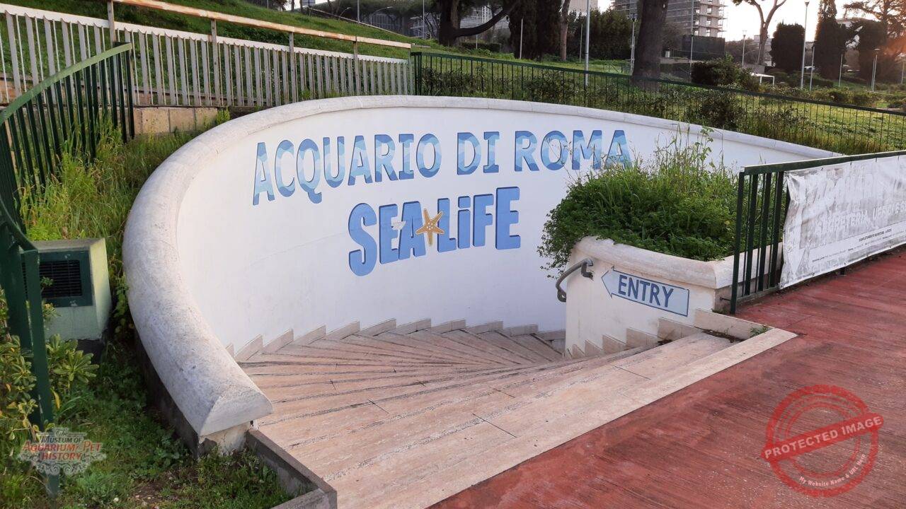 The Forgotten Aquarium of Rome – Part 2 | The Museum of Aquarium and ...