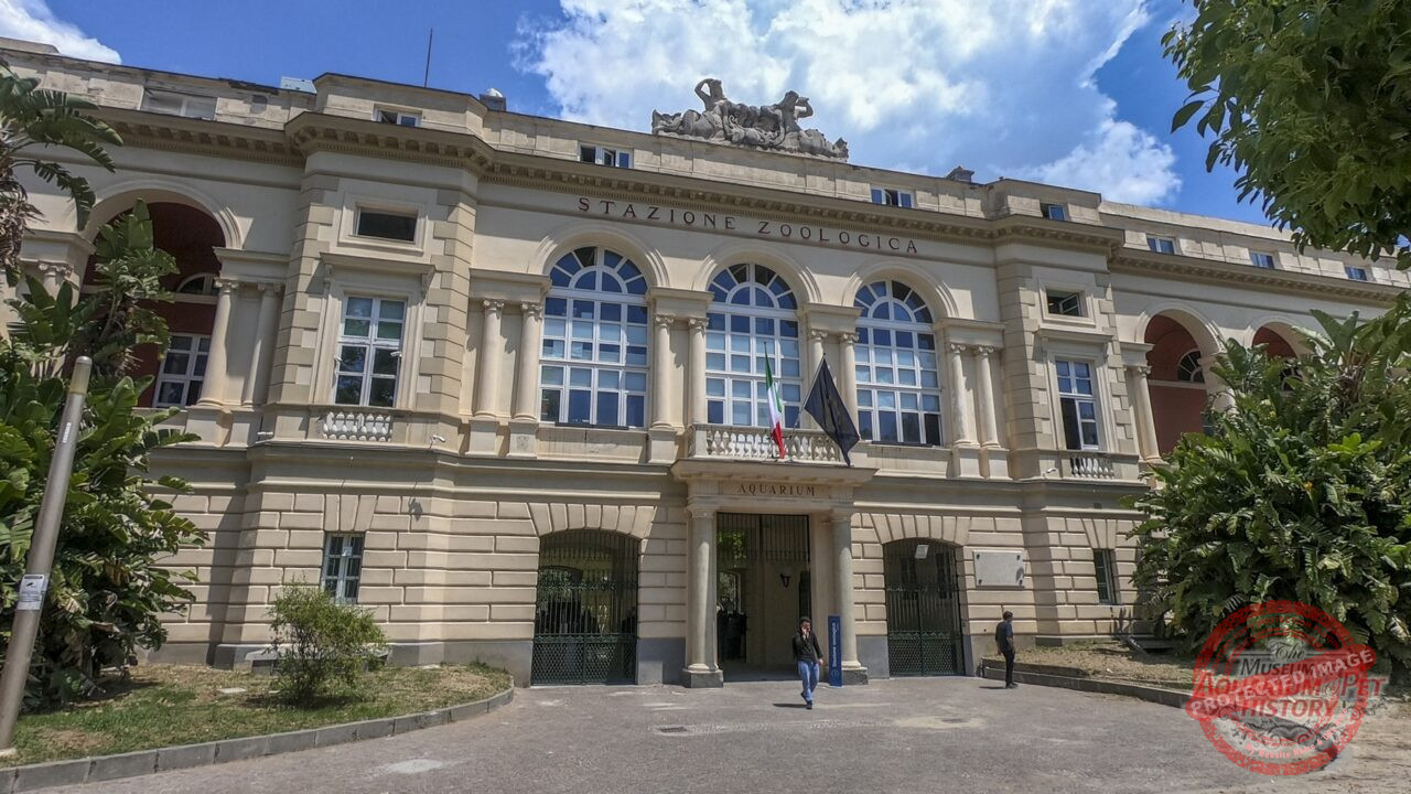 Collecting Marine Life for a 19th-Century Public Aquarium | The Museum ...