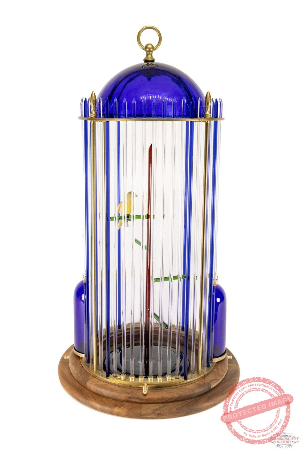 The Most Beautiful Bird Cage in the World! | The Museum of Aquarium and ...
