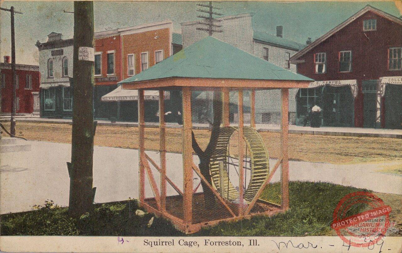 Giant Squirrel Cage in Forreston, Illinois | The Museum of Aquarium and ...