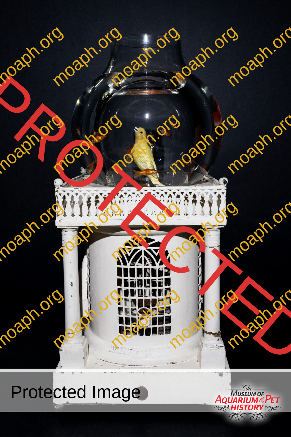 Illusion Bird cage | The Museum of Aquarium and Pet History